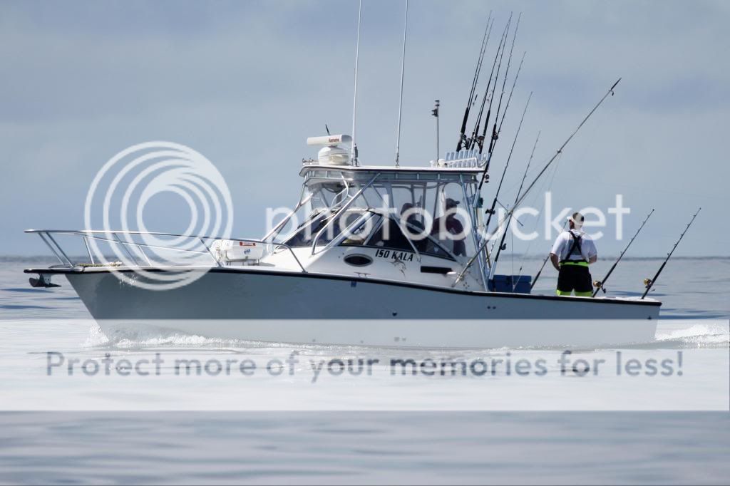 ISO KALA - 28 Albemarle For Sale - SOLD | Bloodydecks