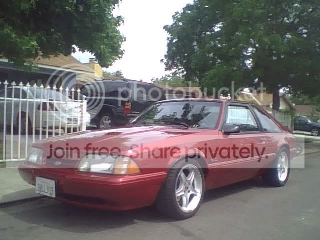 wild strawberry foxes anyone? - Northern California Ford Owners