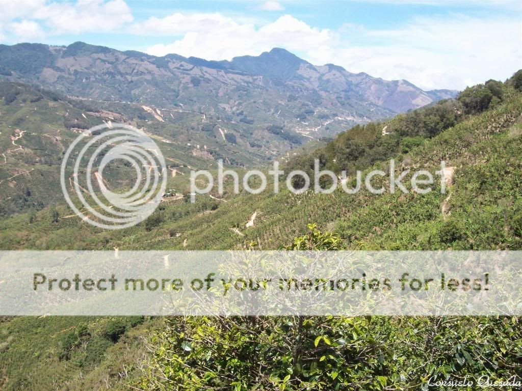 CANTÓN TARRAZÚ | Provincia de San José | Fotos, noticias, gobierno ...