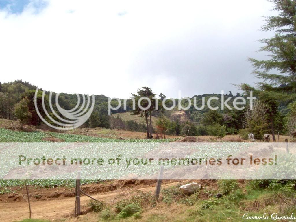 CANTÓN TARRAZÚ | Provincia de San José | Fotos, noticias, gobierno ...